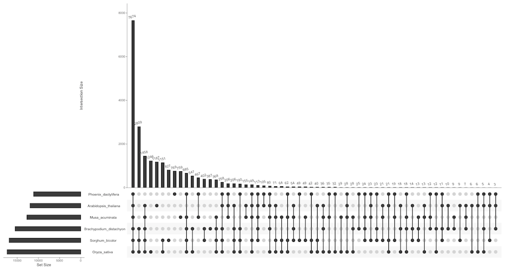 Visualizing Intersecting Sets